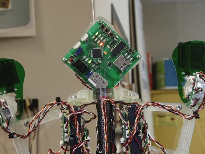 Científicos fabrican una salamandra robótica • ENTER.CO