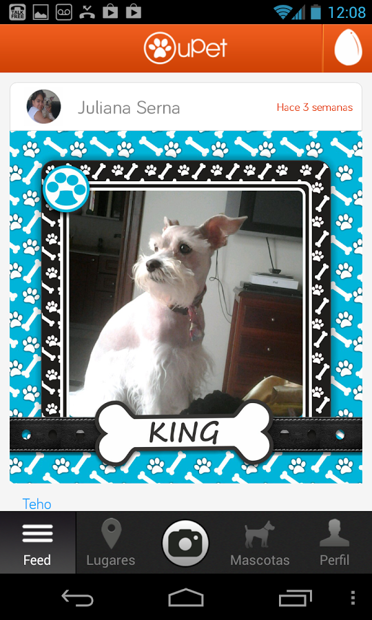 Siete aplicaciones para los amantes de perros • ENTER.CO