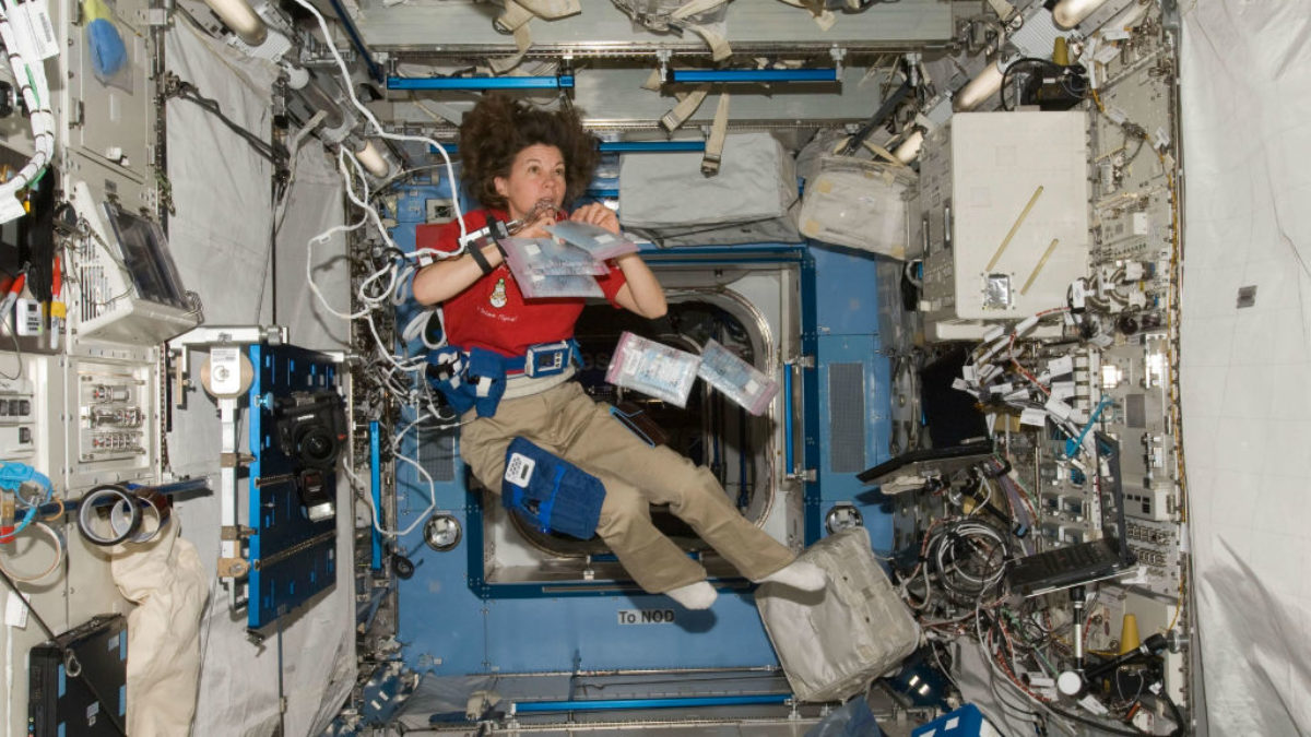 El Cuerpo Humano En El Espacio Nasa