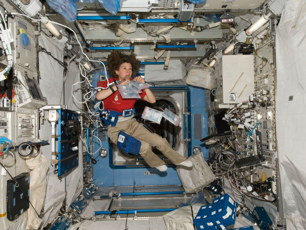 Así estudia la Nasa detalles sobre el cuerpo humano en el espacio ...