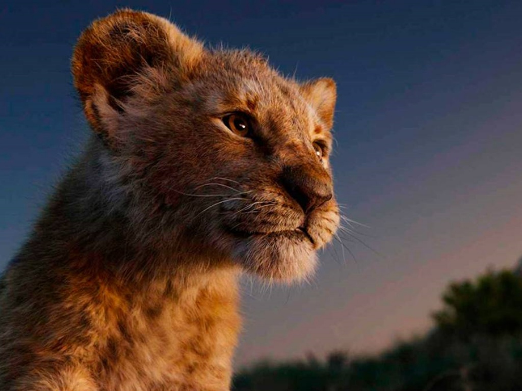 ‘El Rey León 2’ ya está produciendo su secuela live action • ENTER.CO
