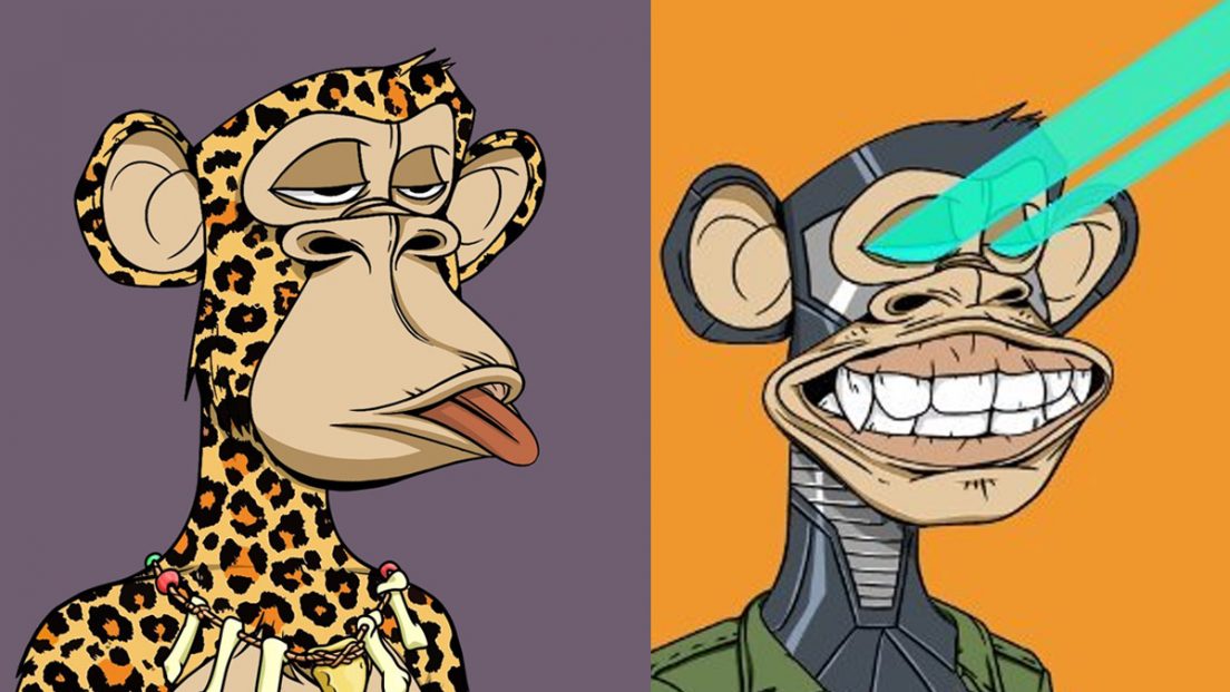 Las caras que están detrás de los simios aburridos que son un éxito ...