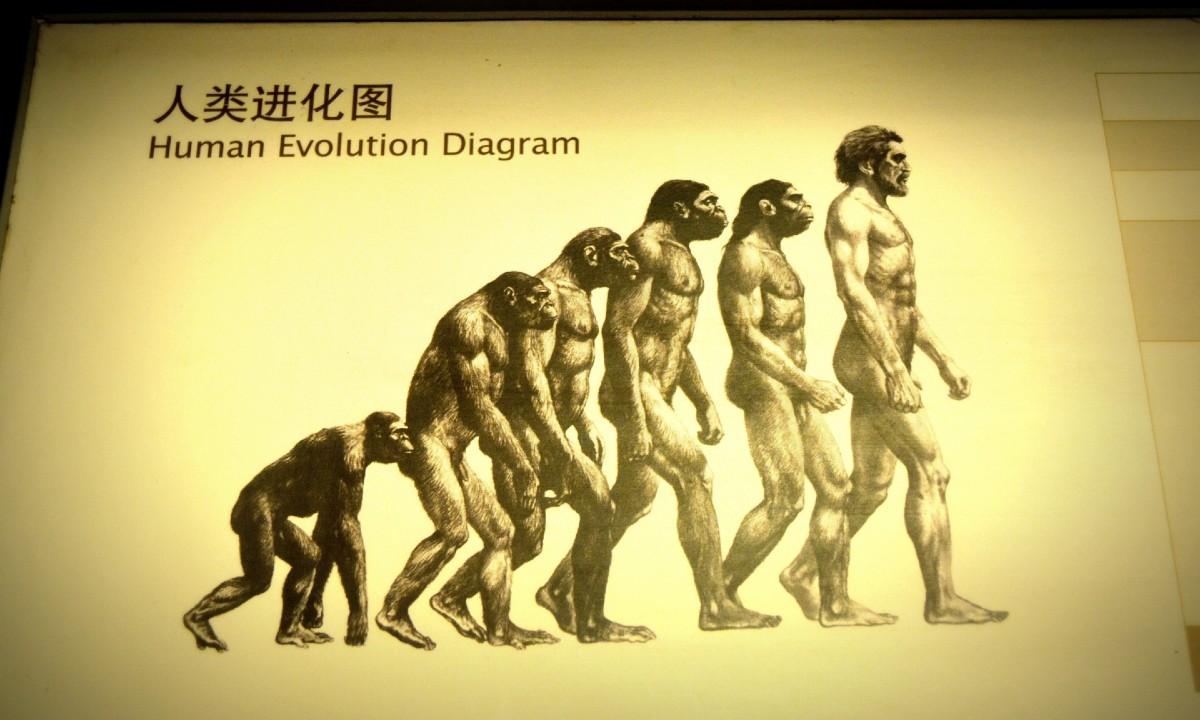 Día mundial de la Evolución. Pero, ¿qué se halló después de Darwin? • ENTER.CO