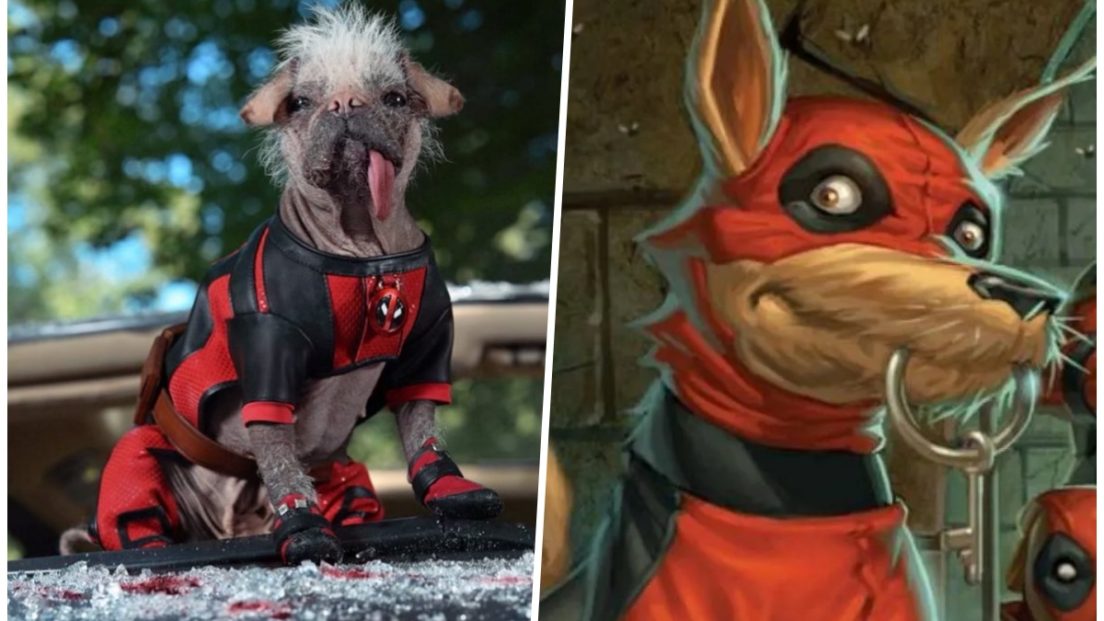 ¡Deadpool también vieja al multiverso! Dogpool ha sido confirmado para ...