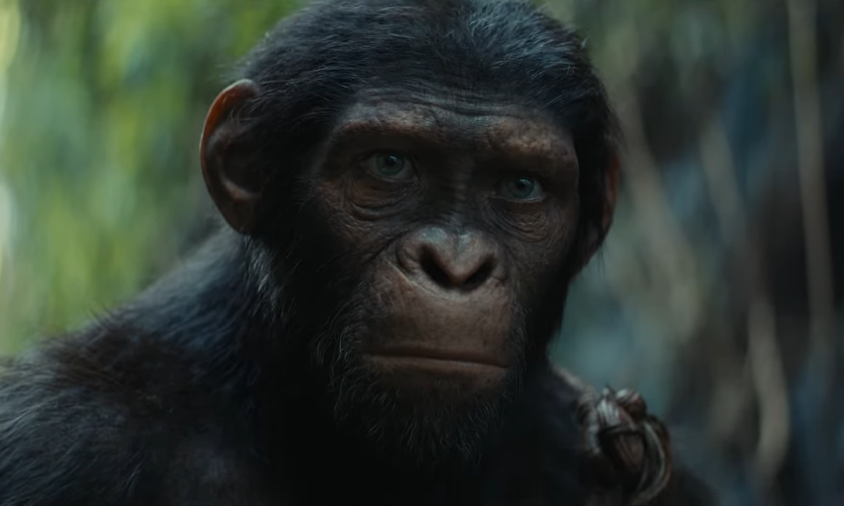 El Planeta de los Simios: Nuevo Reino: tráiler, fecha de estreno y todo ...