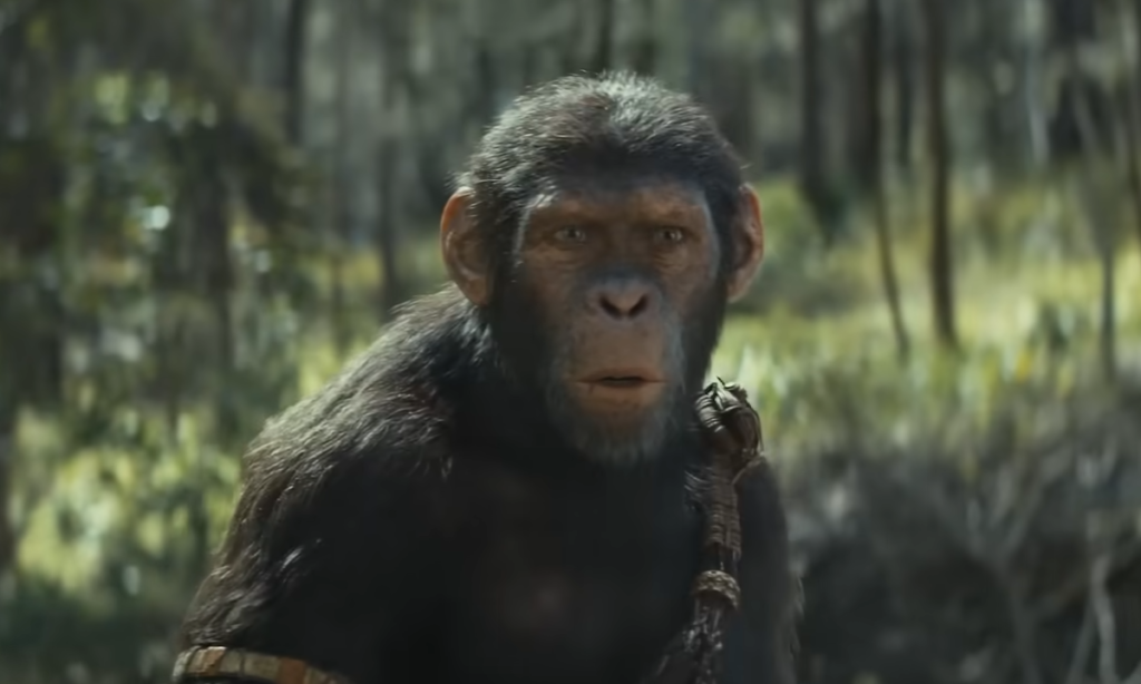 ¡Prepare el presupuesto para cine! Las 6 películas más esperadas de 2024 • ENTER.CO