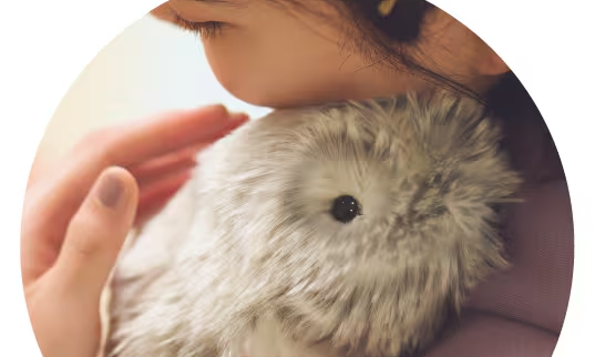 Moflin: la nueva mascota robótica e inteligente de Casio que brinda ...